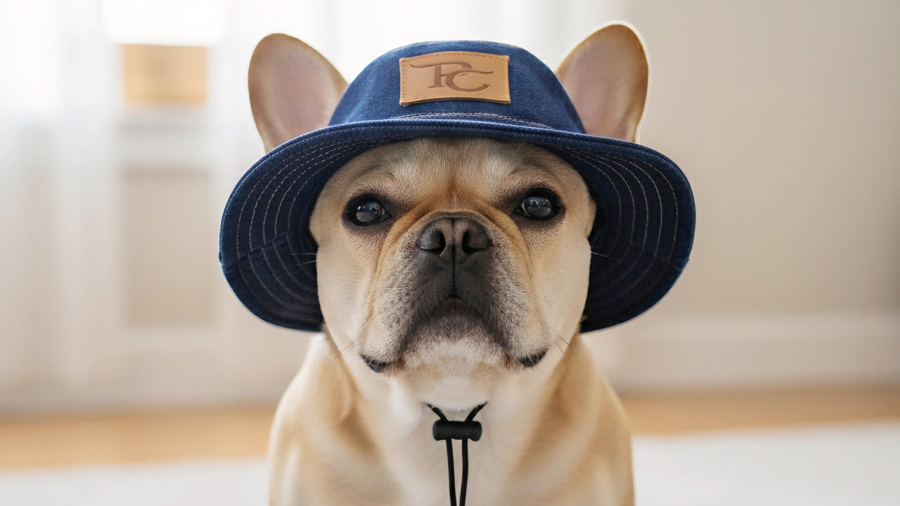 Pup Caps - Stylish Baseball Hats and Caps for Dogs